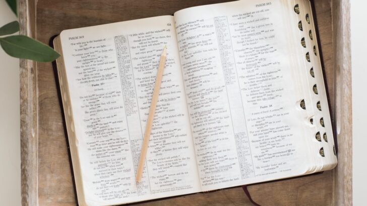 Ruth Chapter 2 Message Summary And Bible Study Questions