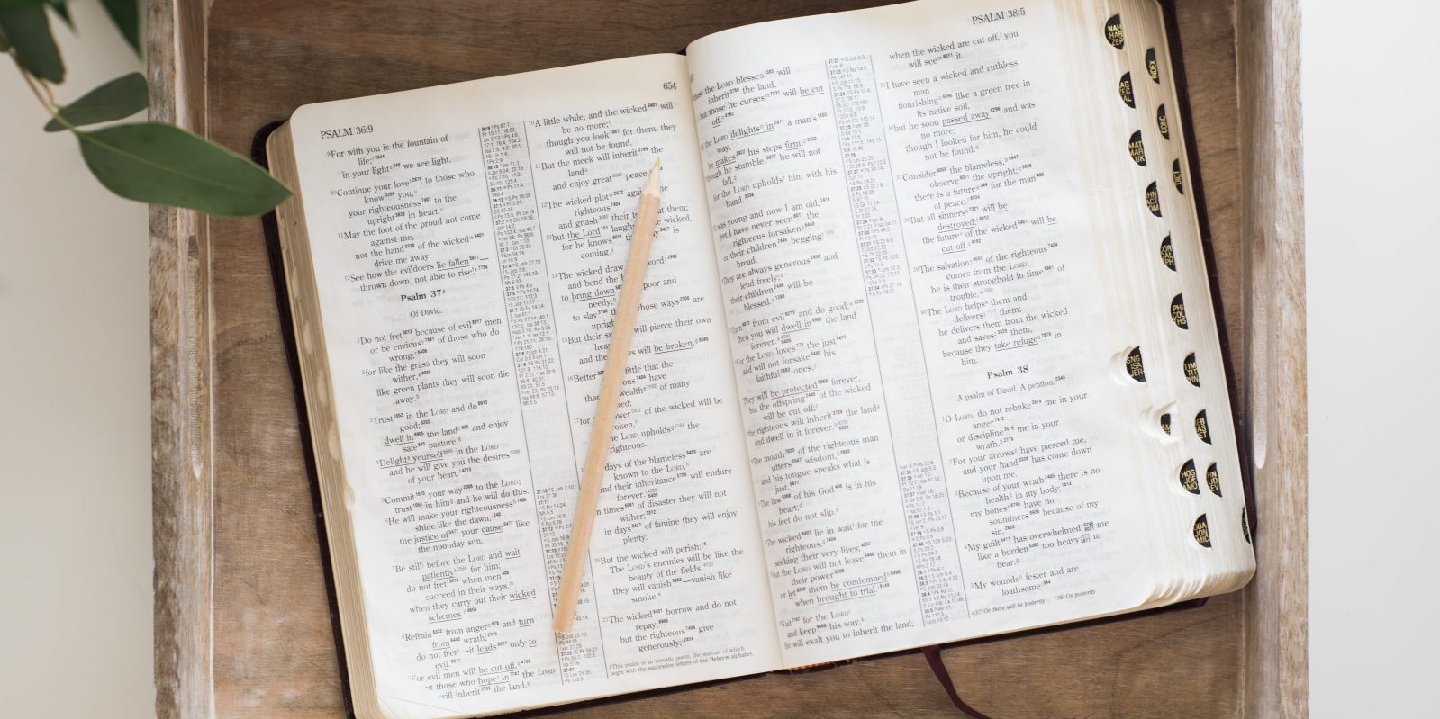 Ruth Chapter 2 Message Summary And Bible Study Questions