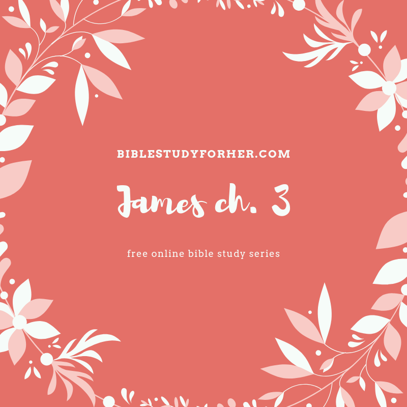 James Chapter 3 Summary Bible Study for Her