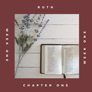 The Story Of Ruth Chapter One Bible Study-